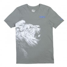 Мужская футболка Nike Lebron Arch (689146-037) купить по цене 1190 руб ...